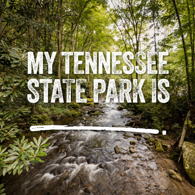 The Parks You Love | Tennessee State Parks Conservancy